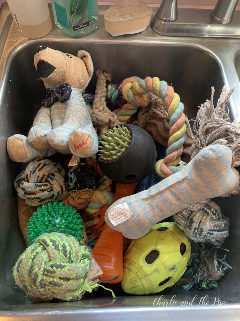 How To Clean Dog Toys - Charlie and The Pips