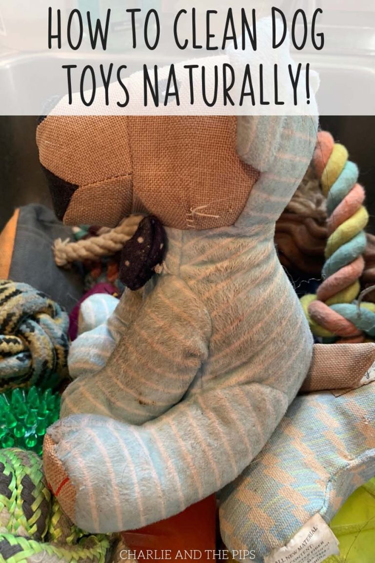 How To Clean Dog Toys - Charlie and The Pips